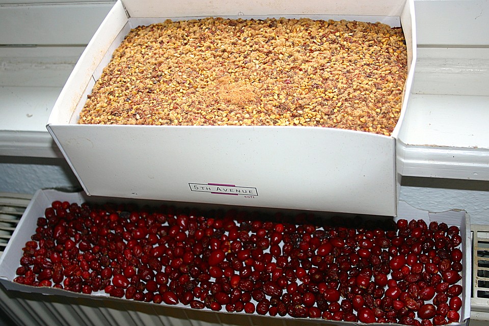 Hagebuttentee selbstgemacht von Vayacondas | Chefkoch.de