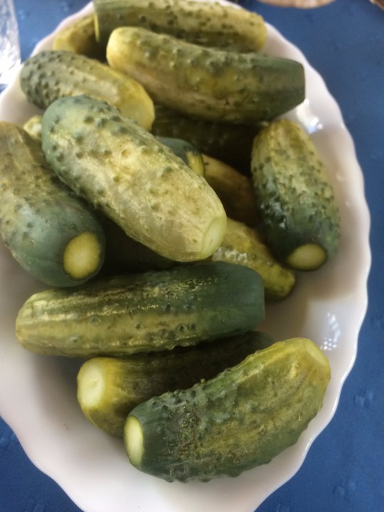 Echte ukrainische 2-Tage Salzgurken von Bentson | Chefkoch.de