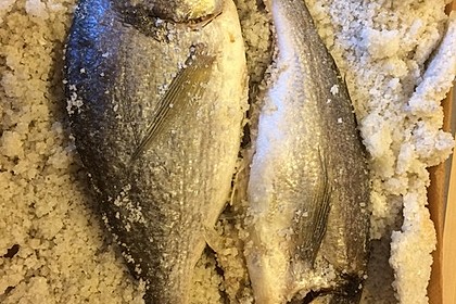 Dorade im Salzmantel von Kochdrachenmaus | Chefkoch.de